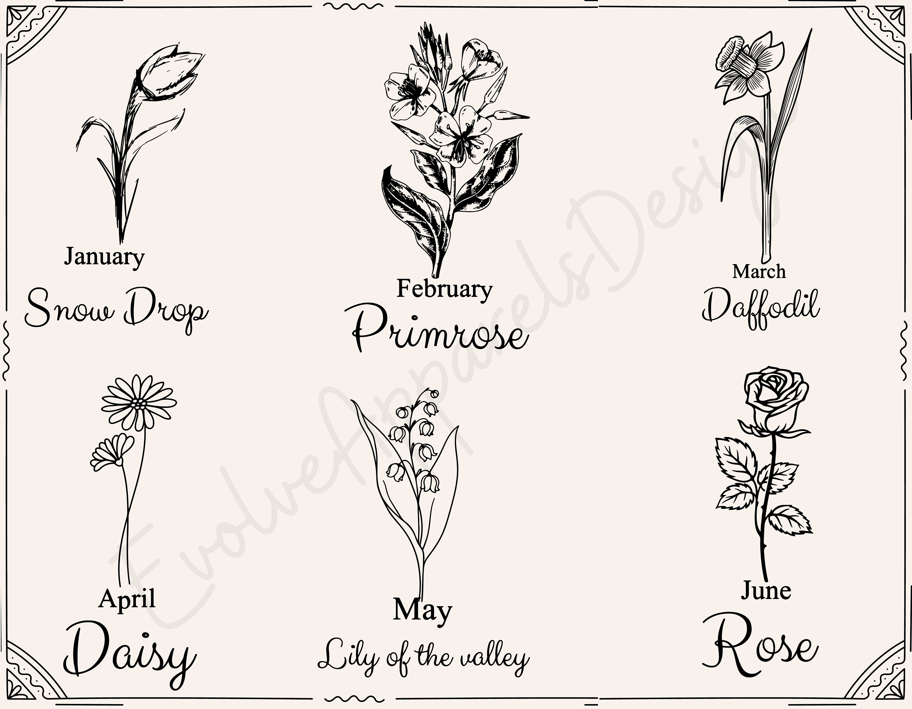 Birth Month Flower Bouquet SVG, Floral Botanical (digital Files) - Etsy