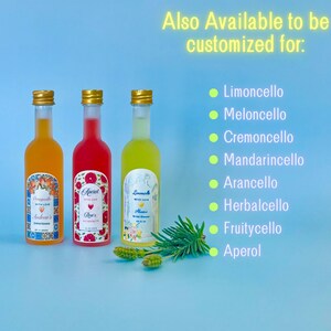 Party Favors, Fill Your Own Orangecello Bottle, Spirit Bottles for ...