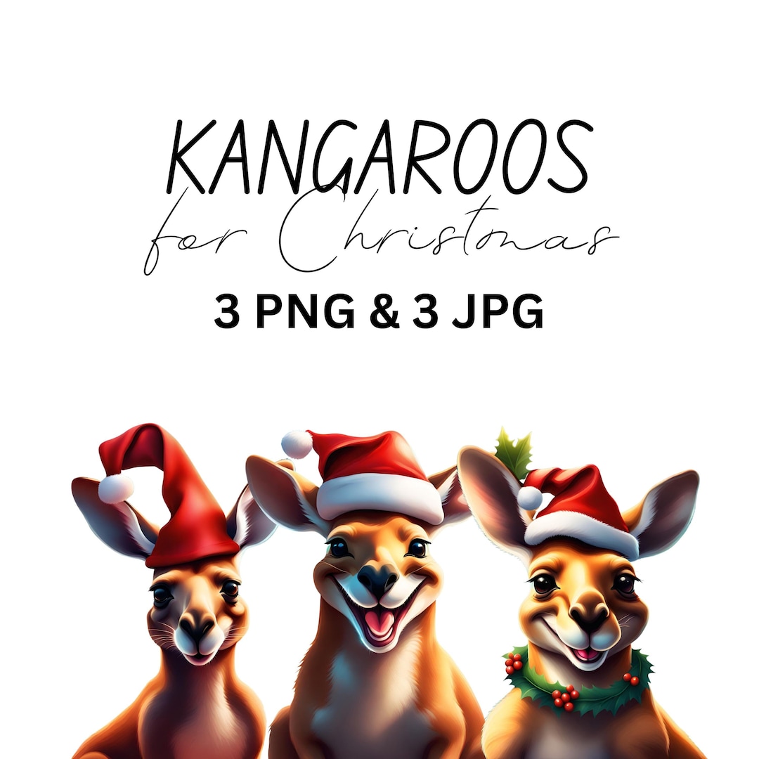 Kangaroos at Christmas, Red Santa Hats, Australian Animals in Santa ...
