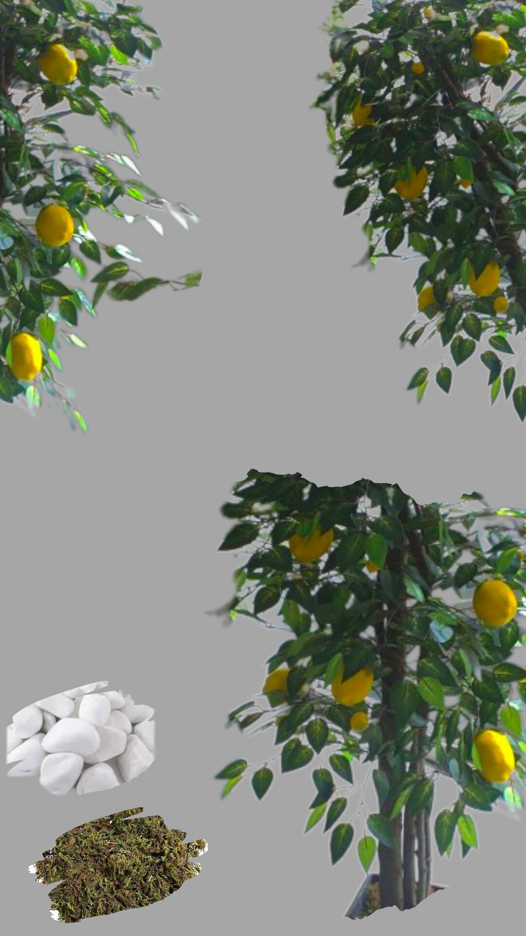 Artificial Lemon Tree - Etsy