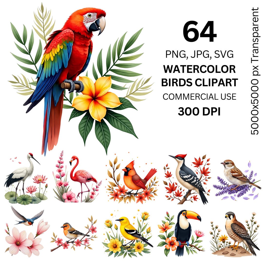 Watercolor Birds Clipart Bundle, 64 Bird PNG JPG SVG, Tropical & Garden ...