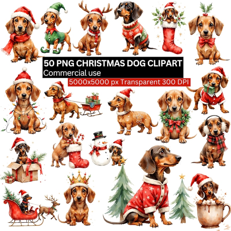Dachshund Clipart - Etsy