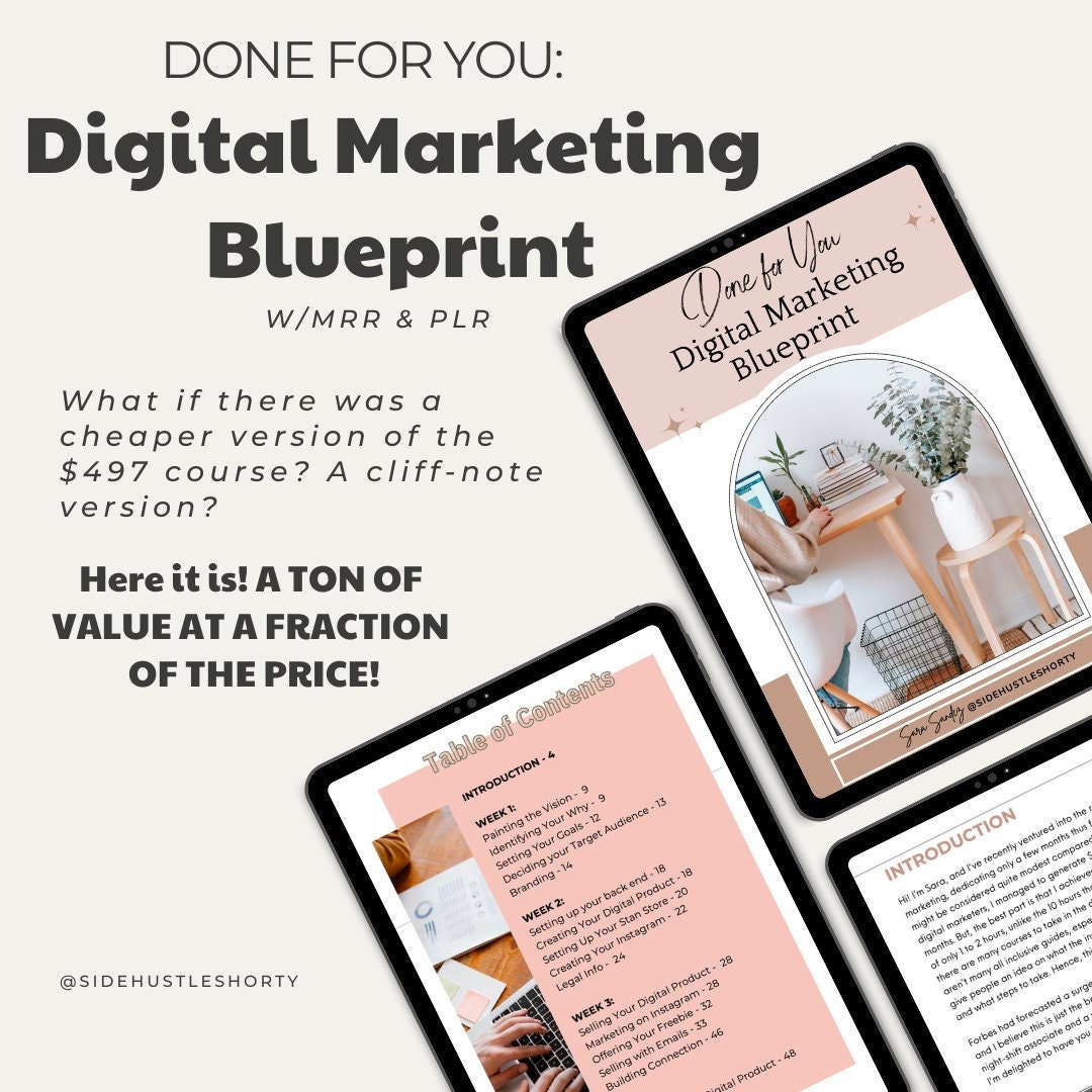 Done for You: Digital Marketing Blueprint Guide With Master Resell ...