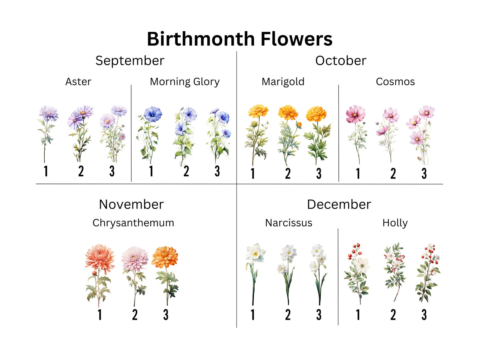 Custom Birth Month Family Garden Customer Family Birth Month - Etsy