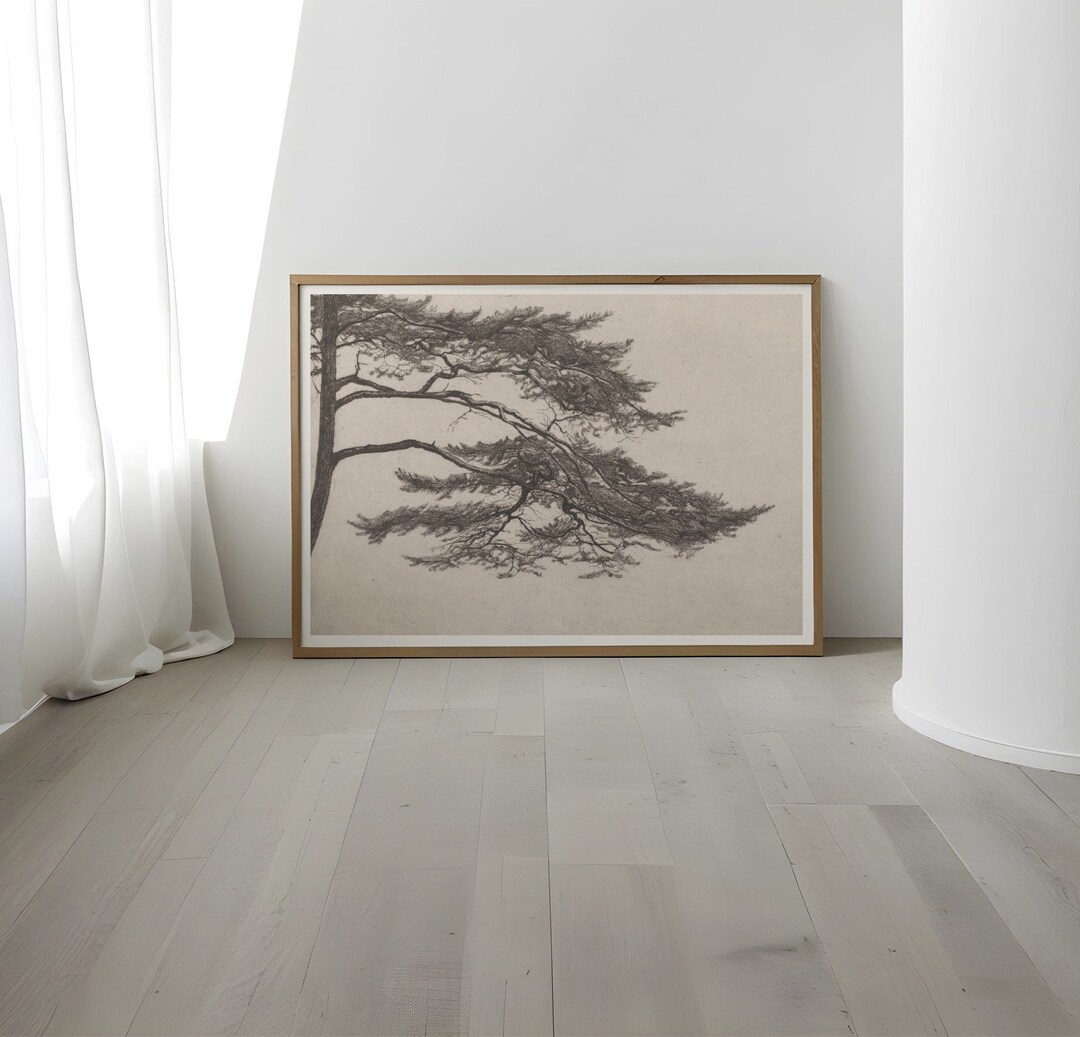Study of a Pine Tree Drawing Print Antique Forest Sketch, Vintage ...