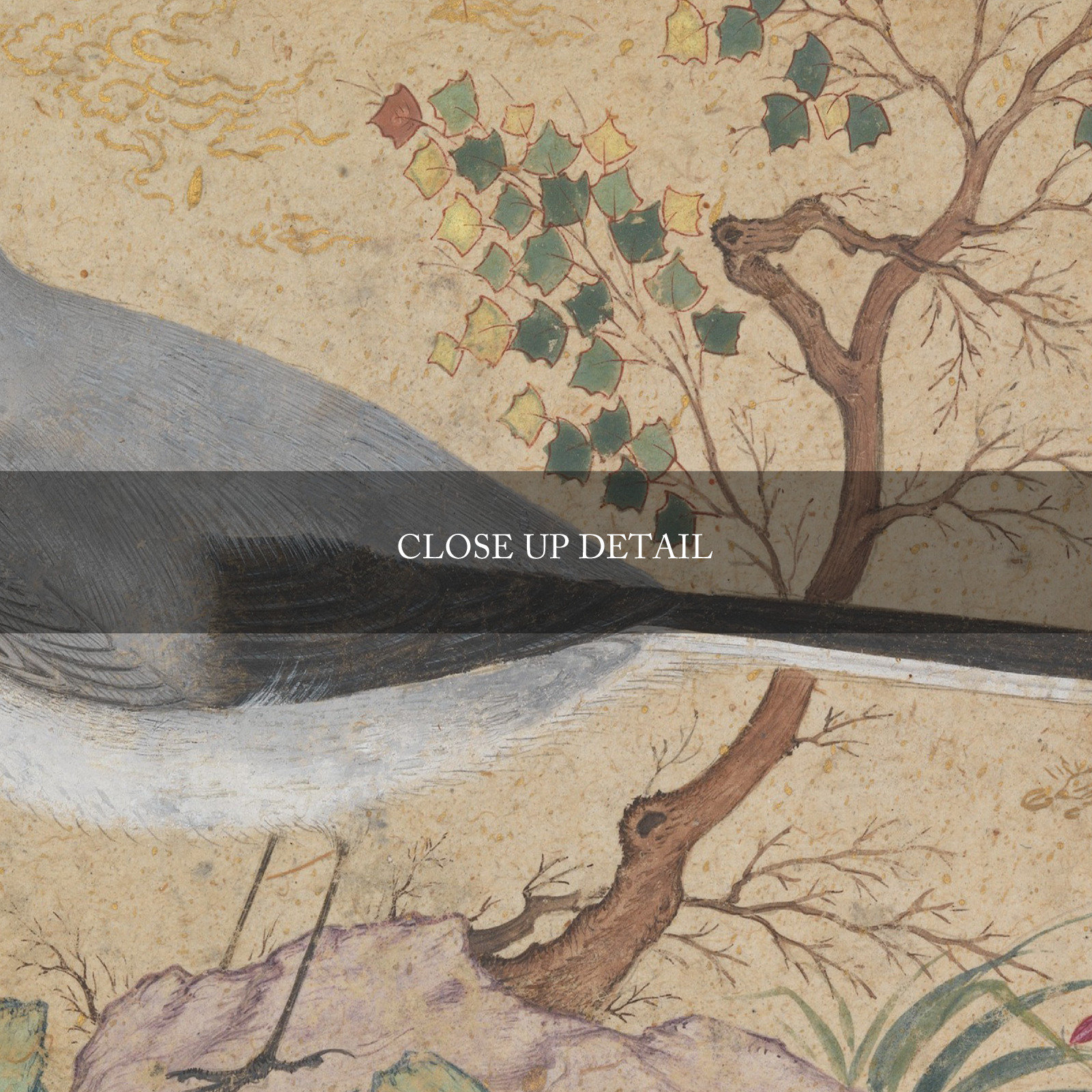 Study of a Bird Riza-yi 'abbasi Vintage Iranian Painting, Islamic Print ...