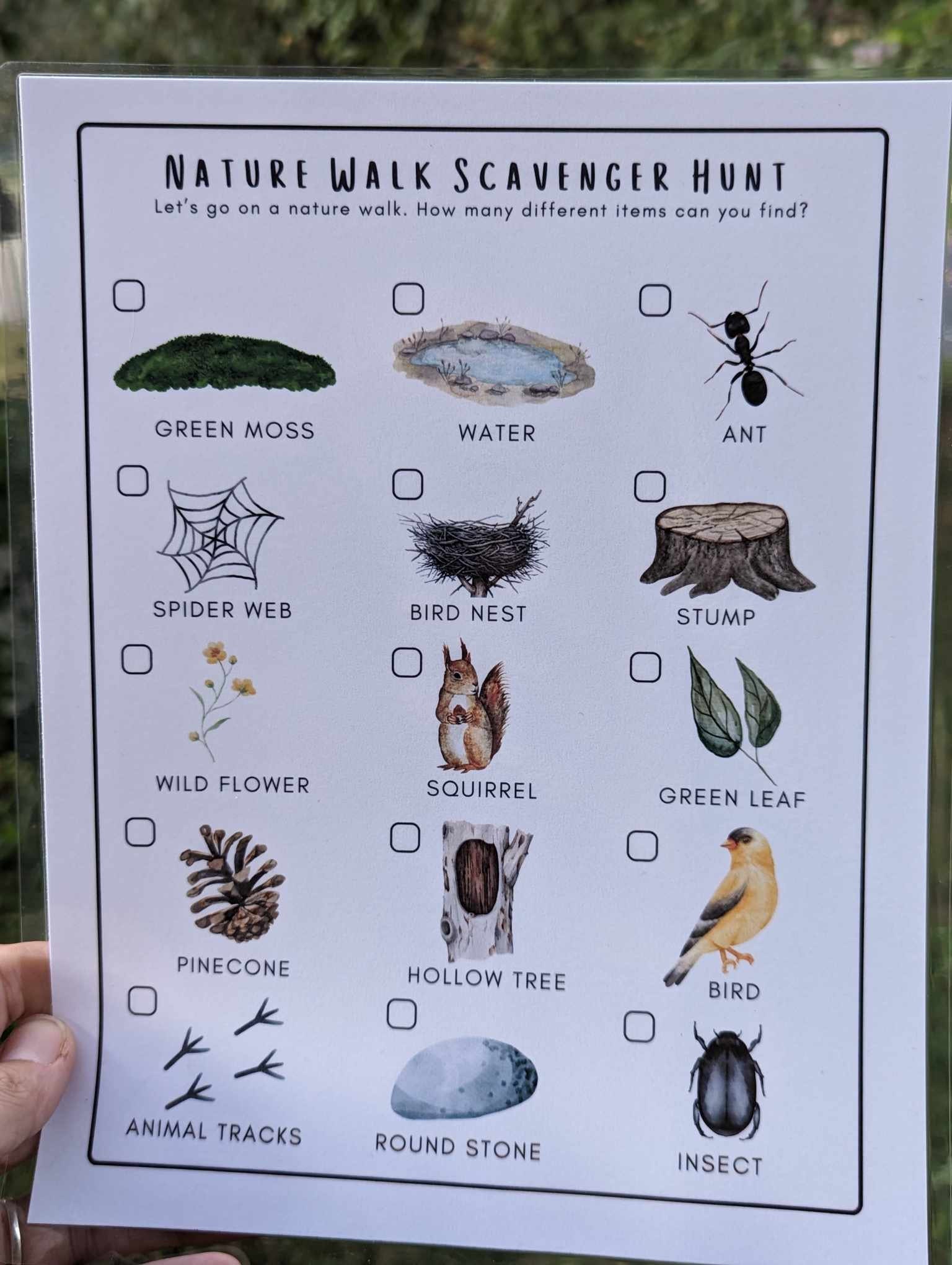 Nature Walk Scavenger Hunt for Kids, Outdoor Activity/nature Study for ...