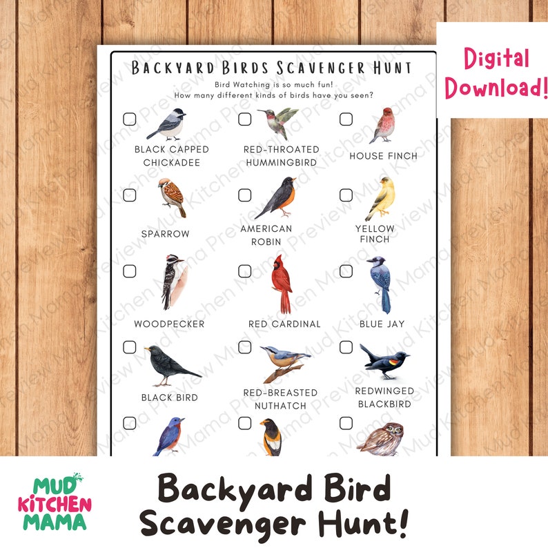 Bird Scavenger Hunt for Kids, Outdoor Activity and Nature Study for ...