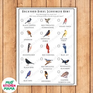 Bird Scavenger Hunt for Kids, Outdoor Activity and Nature Study for ...