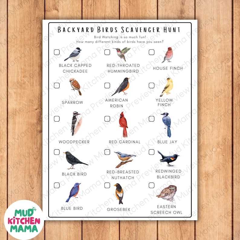 Bird Scavenger Hunt for Kids, Outdoor Activity and Nature Study for ...