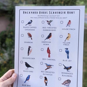 Bird Scavenger Hunt for Kids, Outdoor Activity and Nature Study for ...
