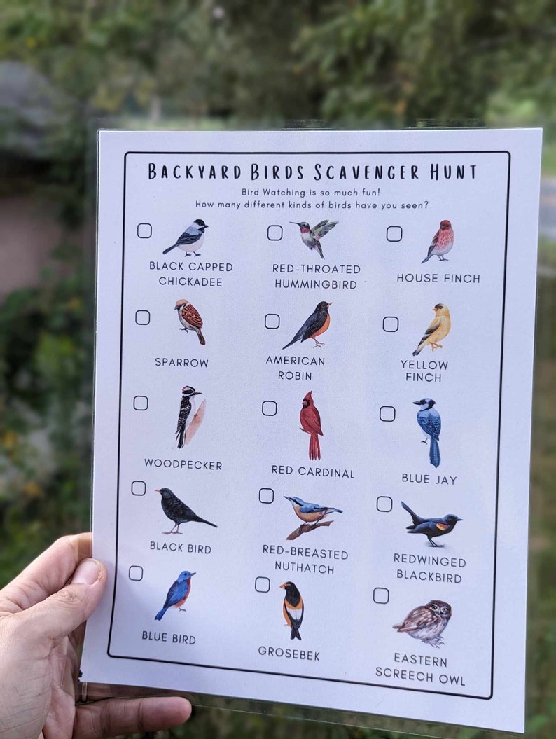 Bird Scavenger Hunt for Kids, Outdoor Activity and Nature Study for ...