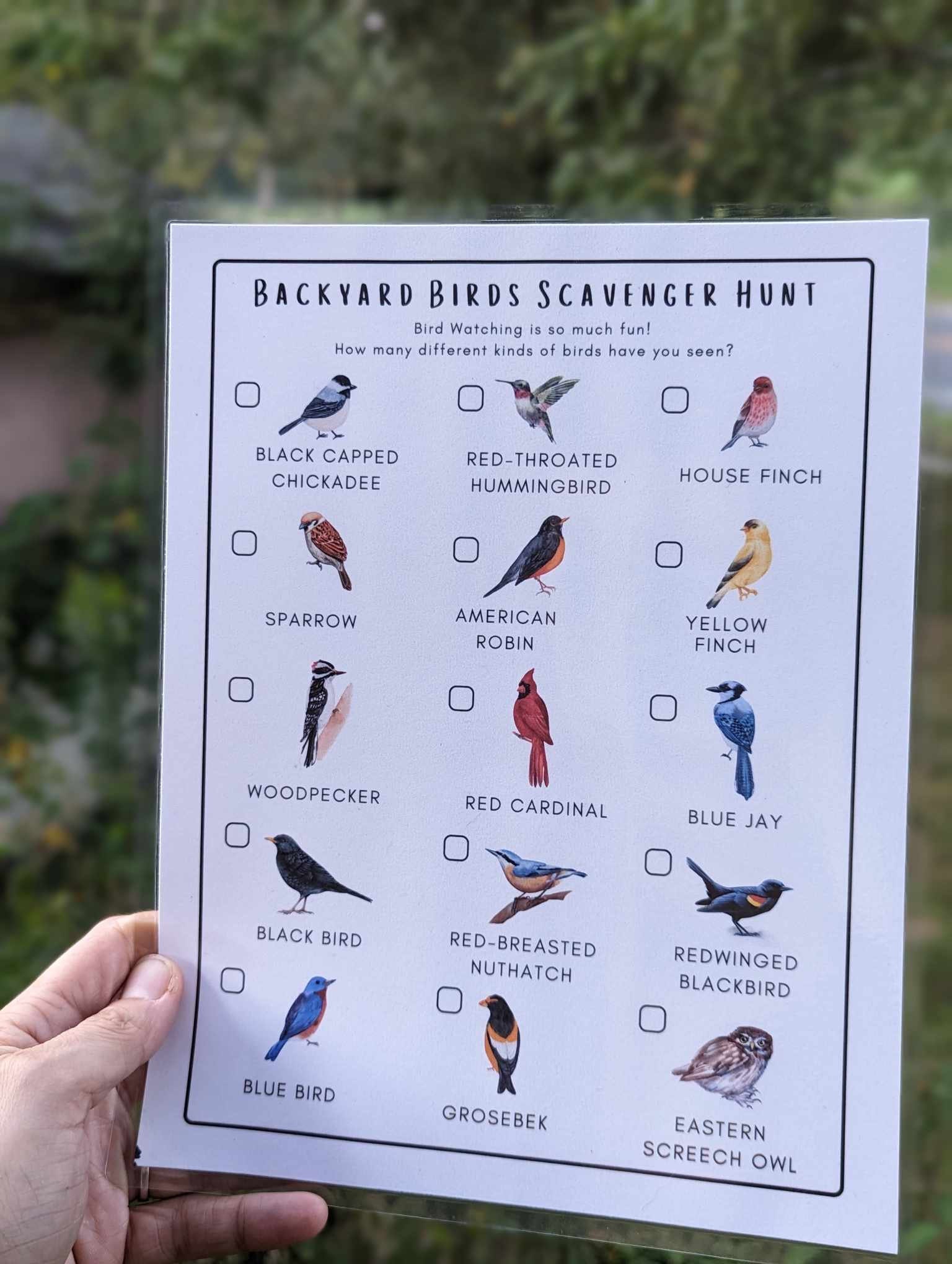 Bird Scavenger Hunt for Kids, Outdoor Activity and Nature Study for ...
