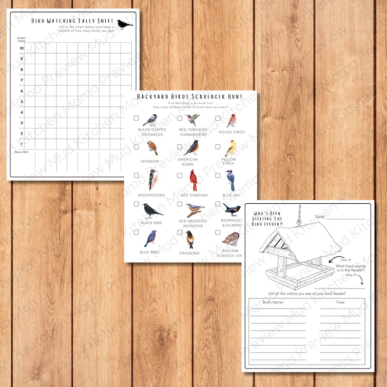 Backyard Bird Journal and Independent Unit Study Set for Homeschool ...