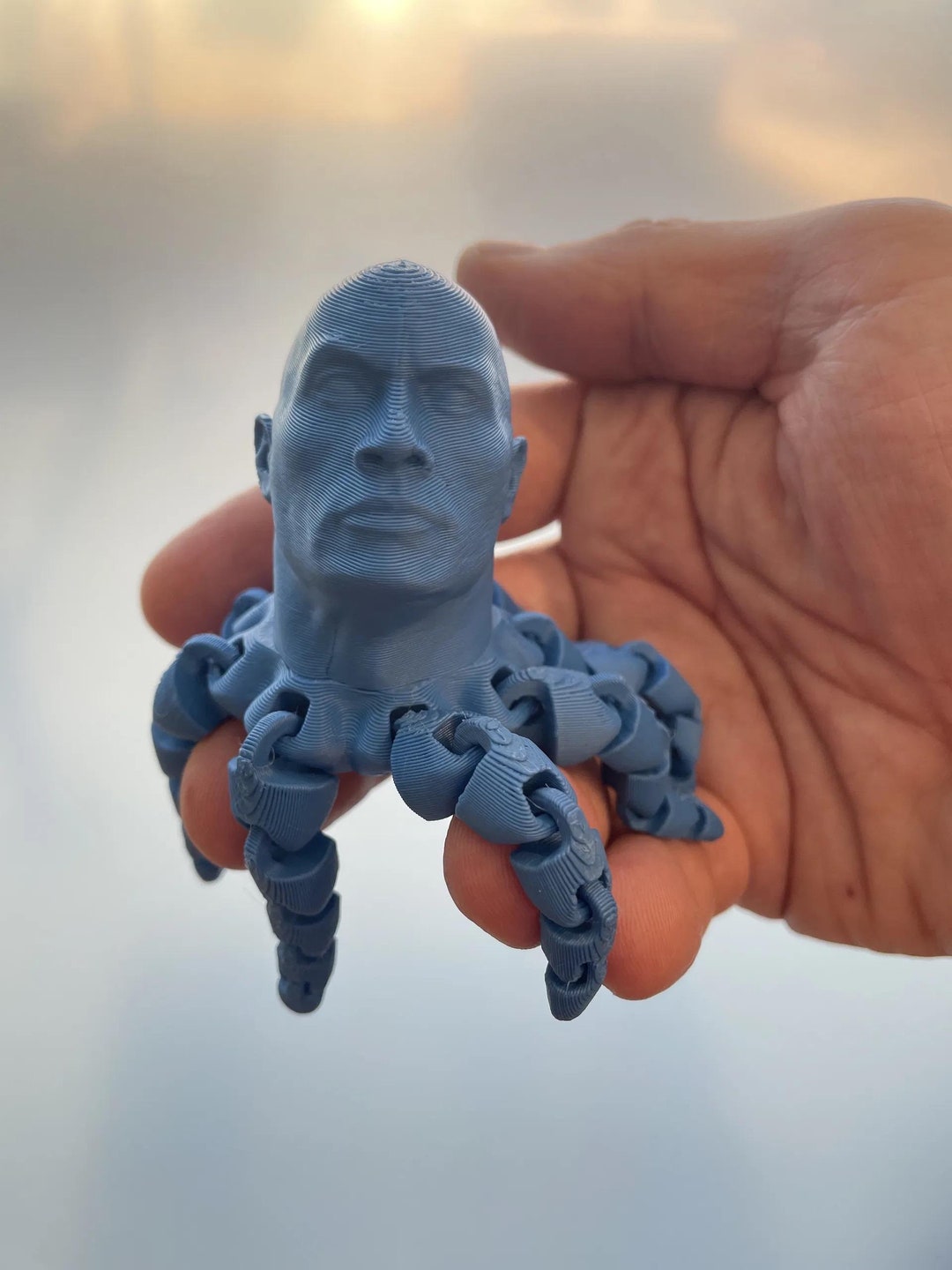 Dwayne 'the Rocktopus' Fidget Toy | Hilarious 3D Printed Octopus ...