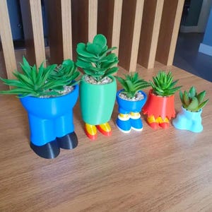 Vibrant Iconic Family Character Planters | Succulent Pots for Home and ...