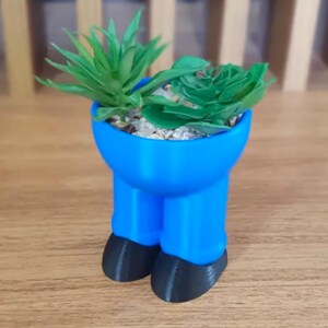 Vibrant Iconic Family Character Planters | Succulent Pots for Home and ...