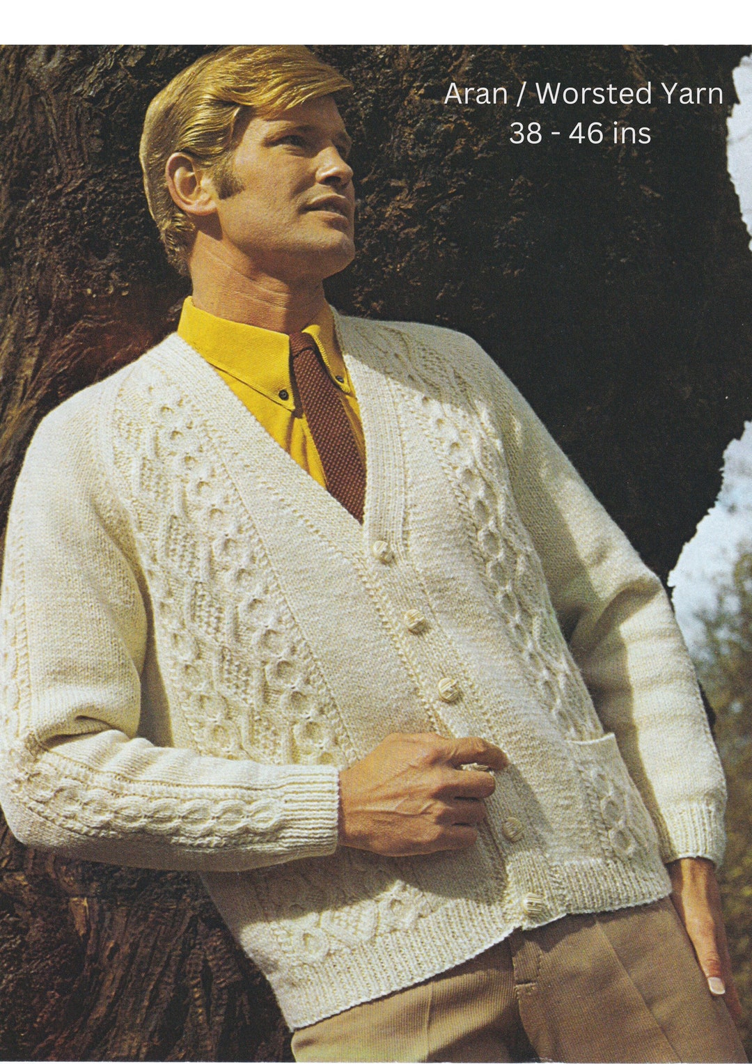 Traditional Aran Knitting Pattern Mens' Cardigan Cable Panel V-neck ...