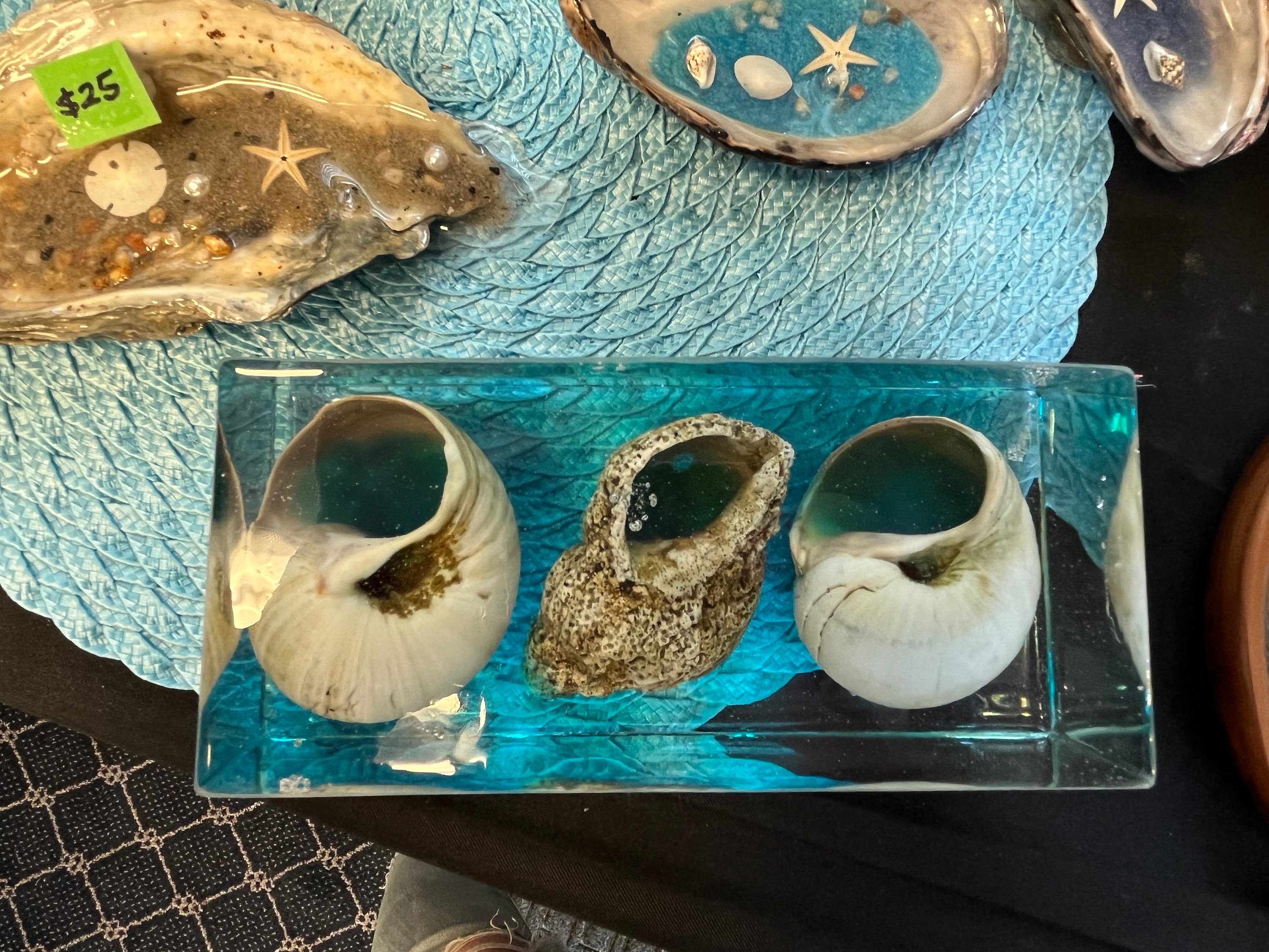Sea Shell Cube Art - Etsy