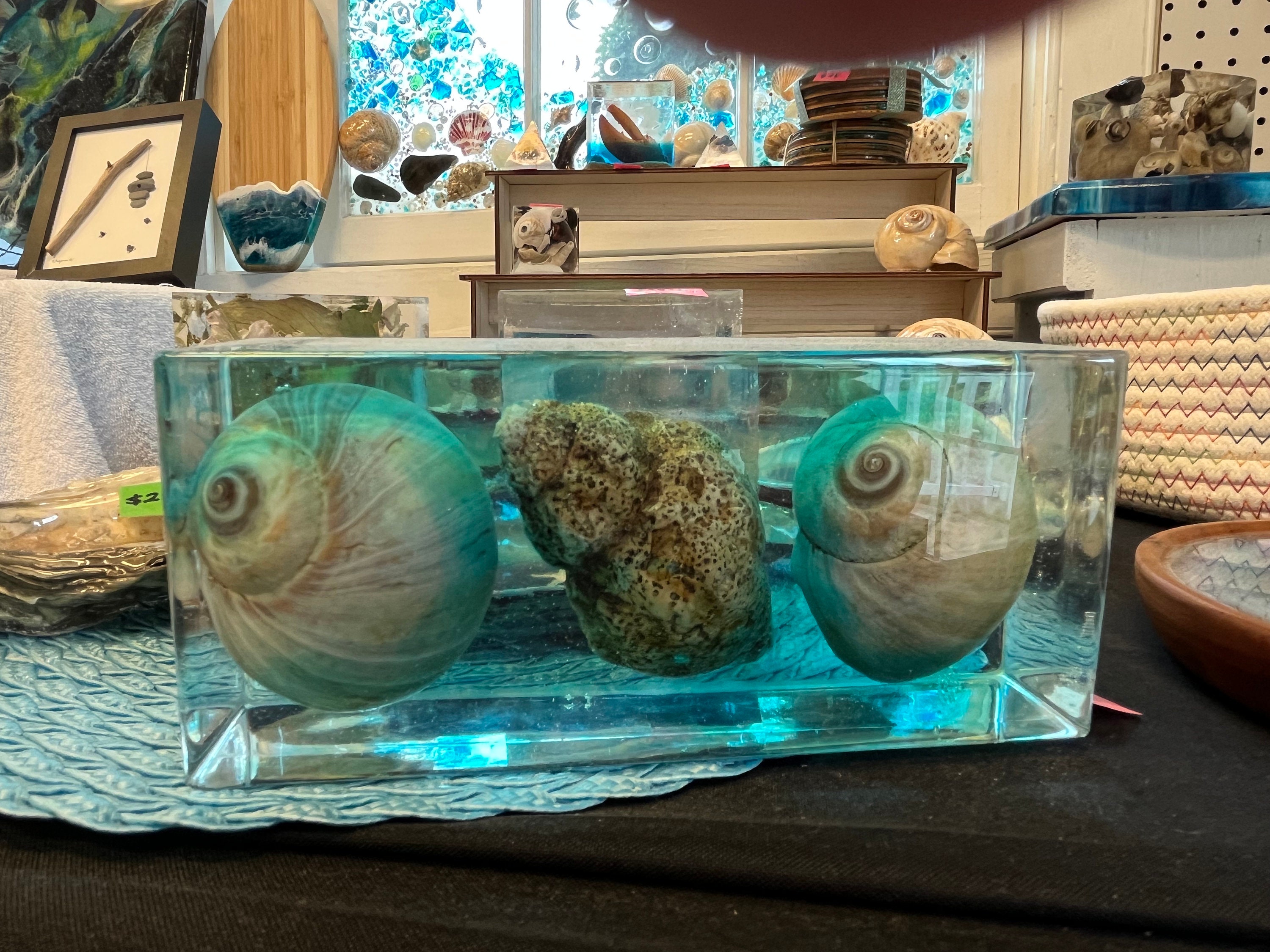 Sea Shell Cube Art - Etsy