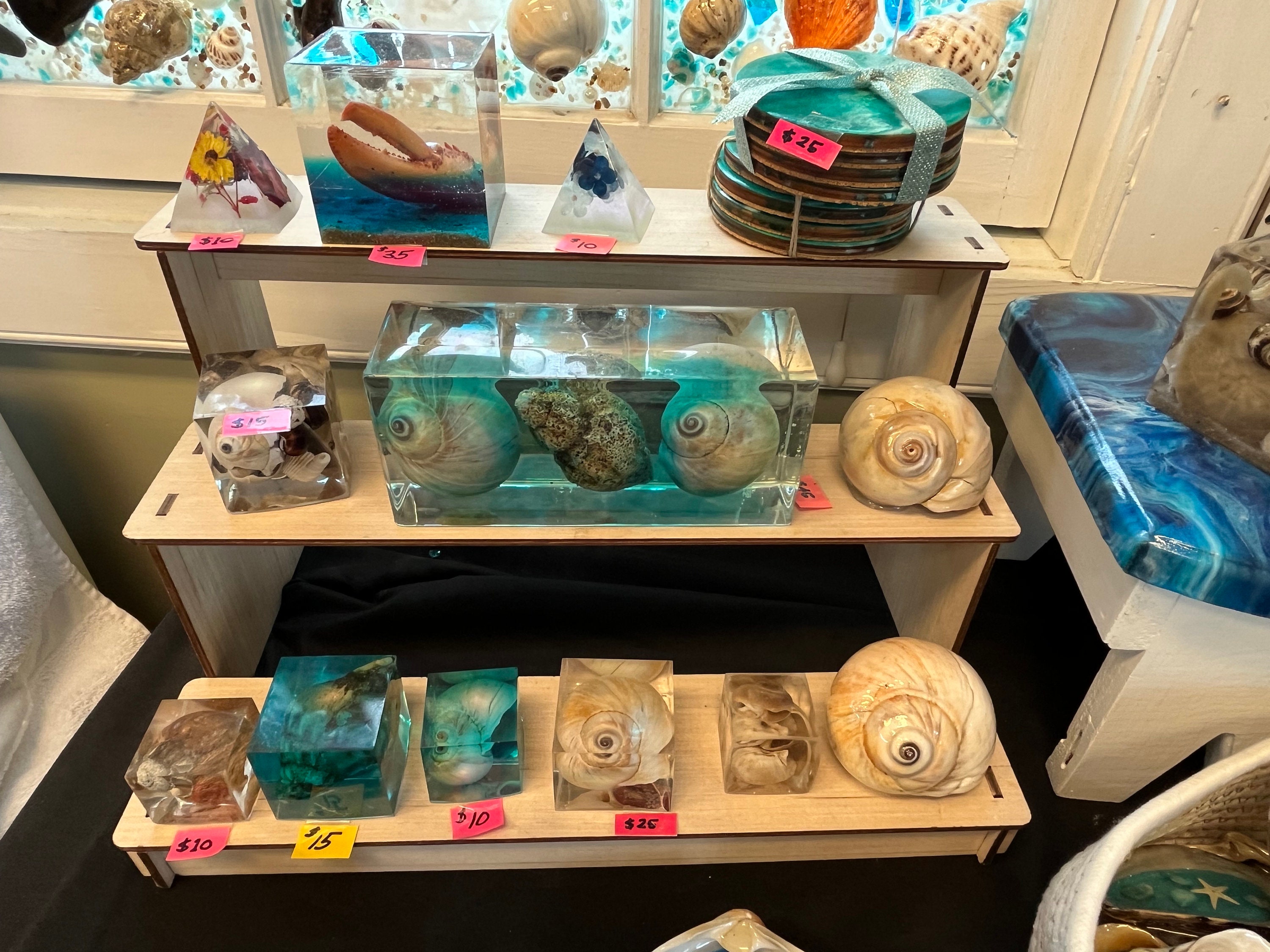 Sea Shell Cube Art - Etsy