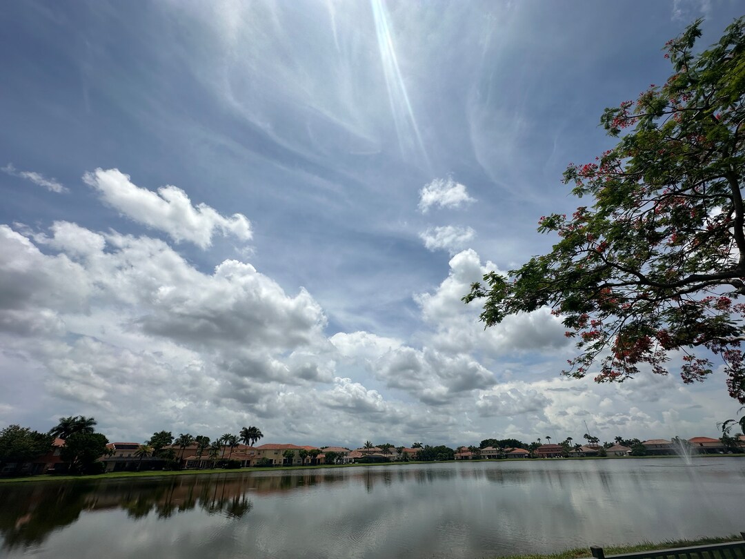 Florida Lake View (digital Download) - Etsy
