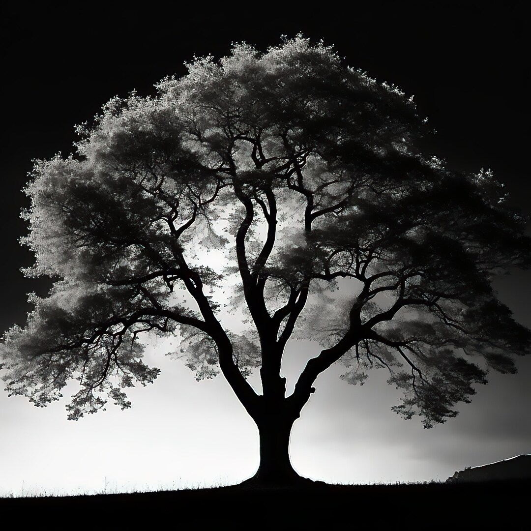 Tree Silhouette Wall Art Digital Download Printable - Etsy