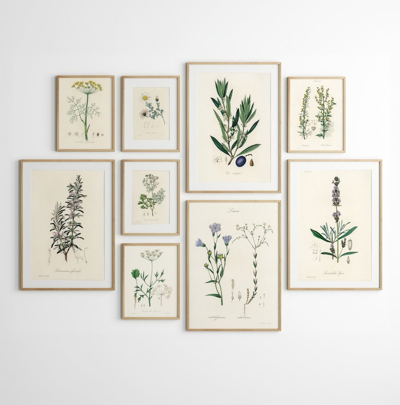 Printable Set of 12 British Plants Prints, Vintage 19st Prints ...