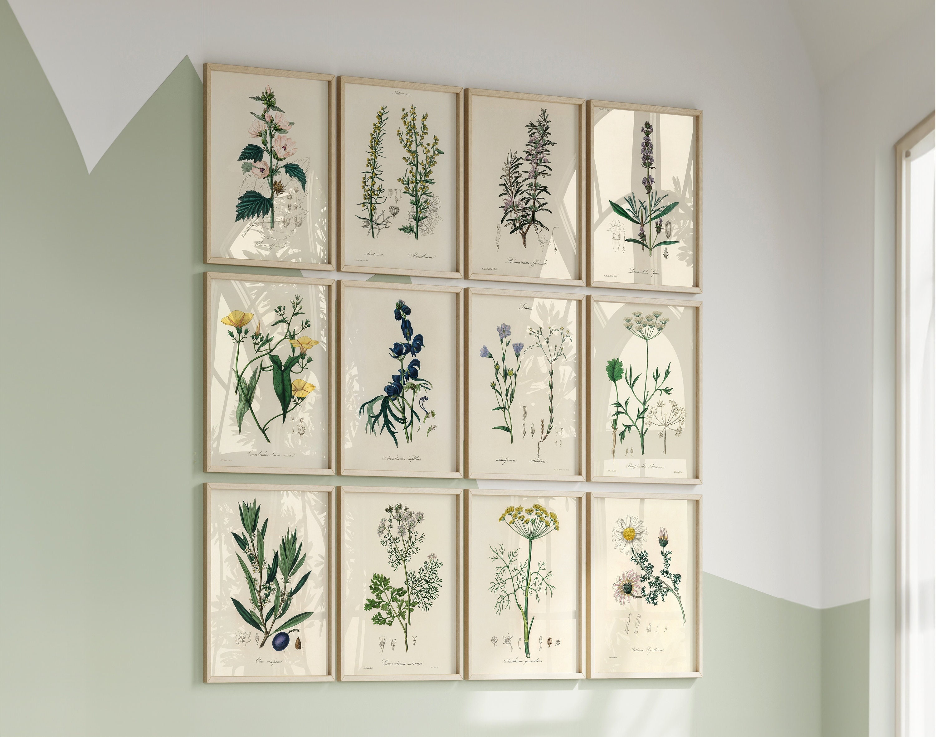 Printable Set of 12 British Plants Prints, Vintage 19st Prints ...