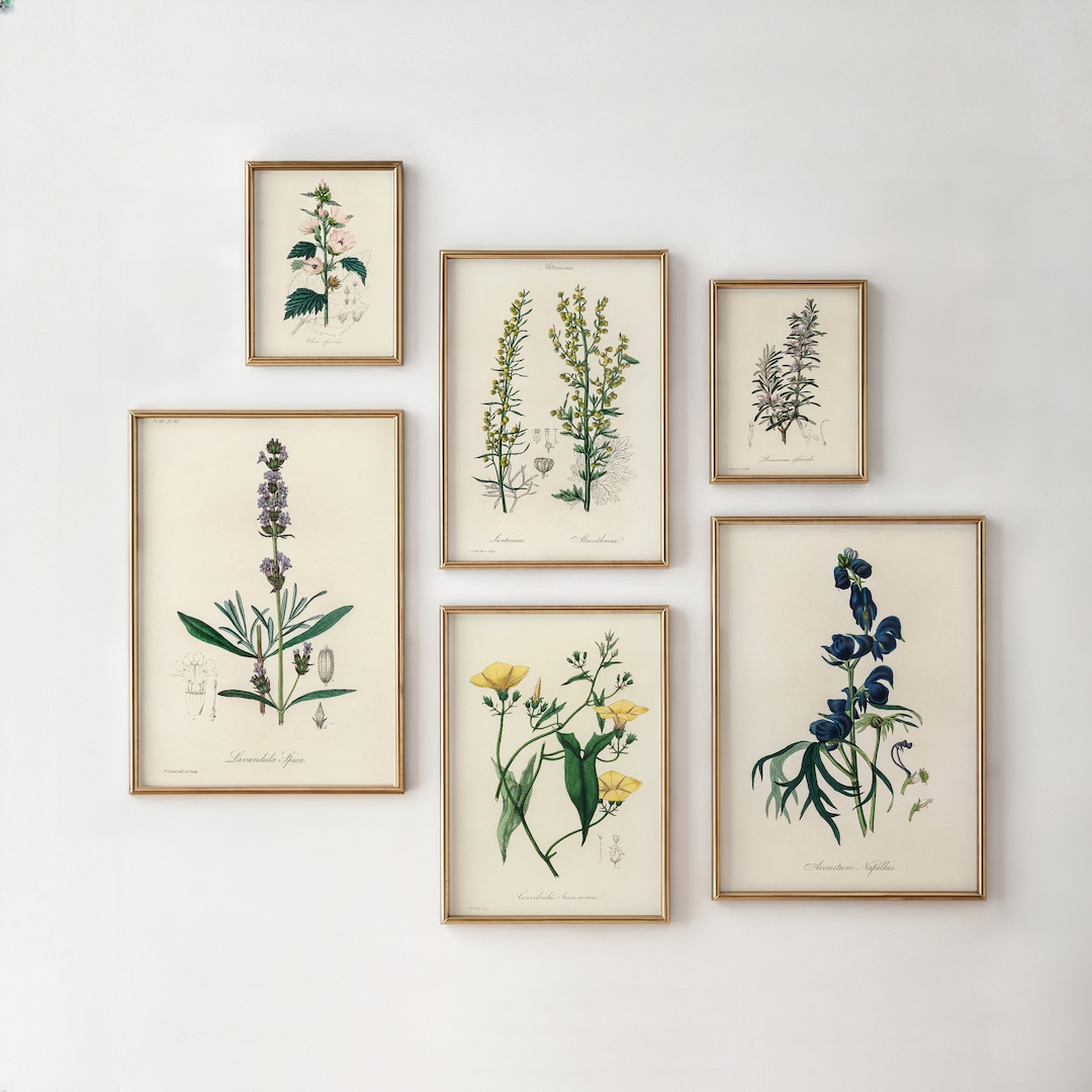 Printable Set of 6 British Plants Prints, Vintage 19st Prints ...