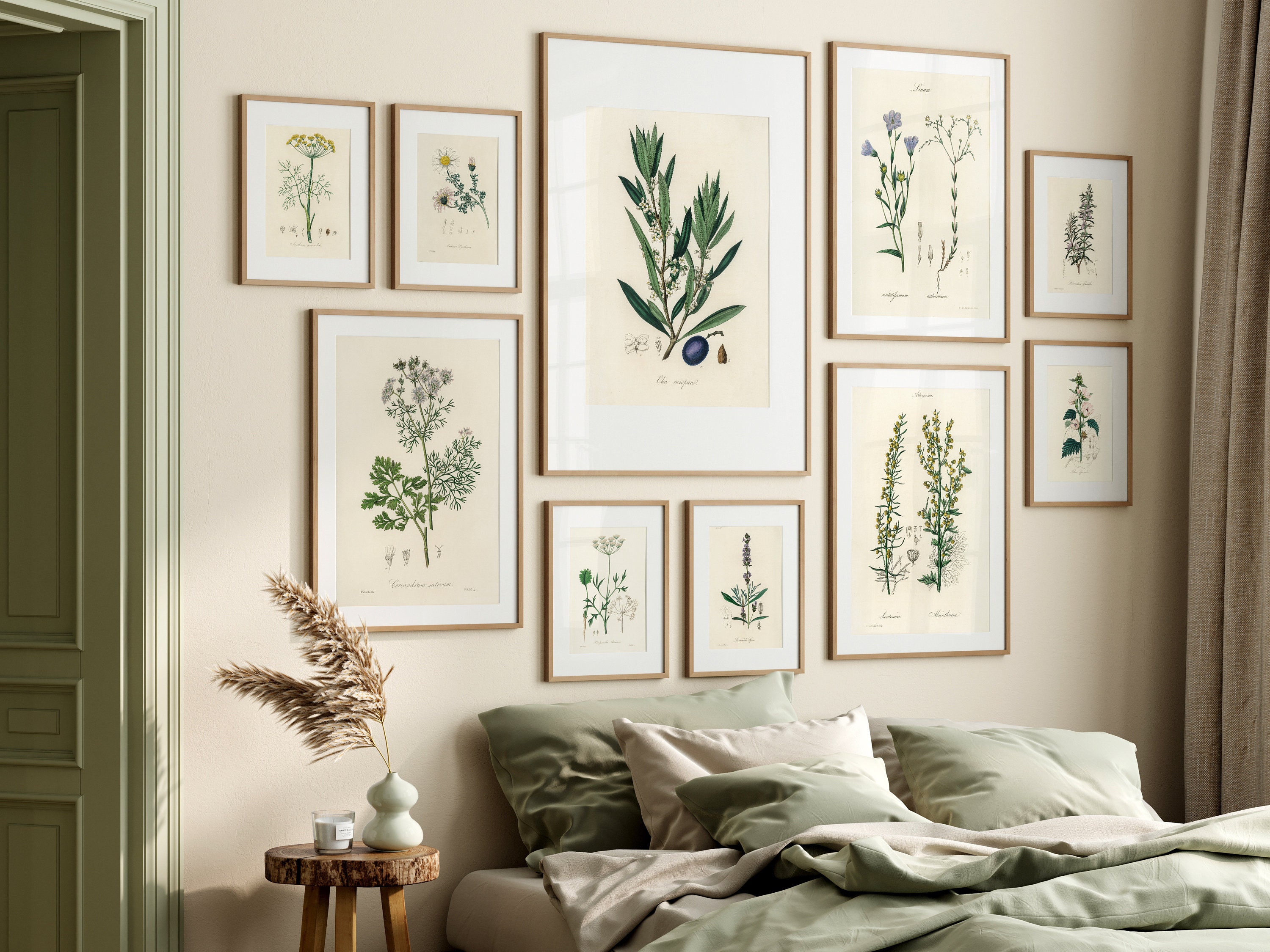 Printable Set of 12 British Plants Prints, Vintage 19st Prints ...