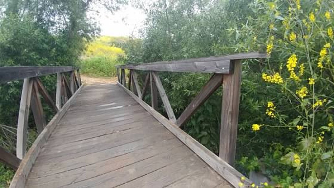 Photo of Old Bridge Pathway in Nature - Etsy