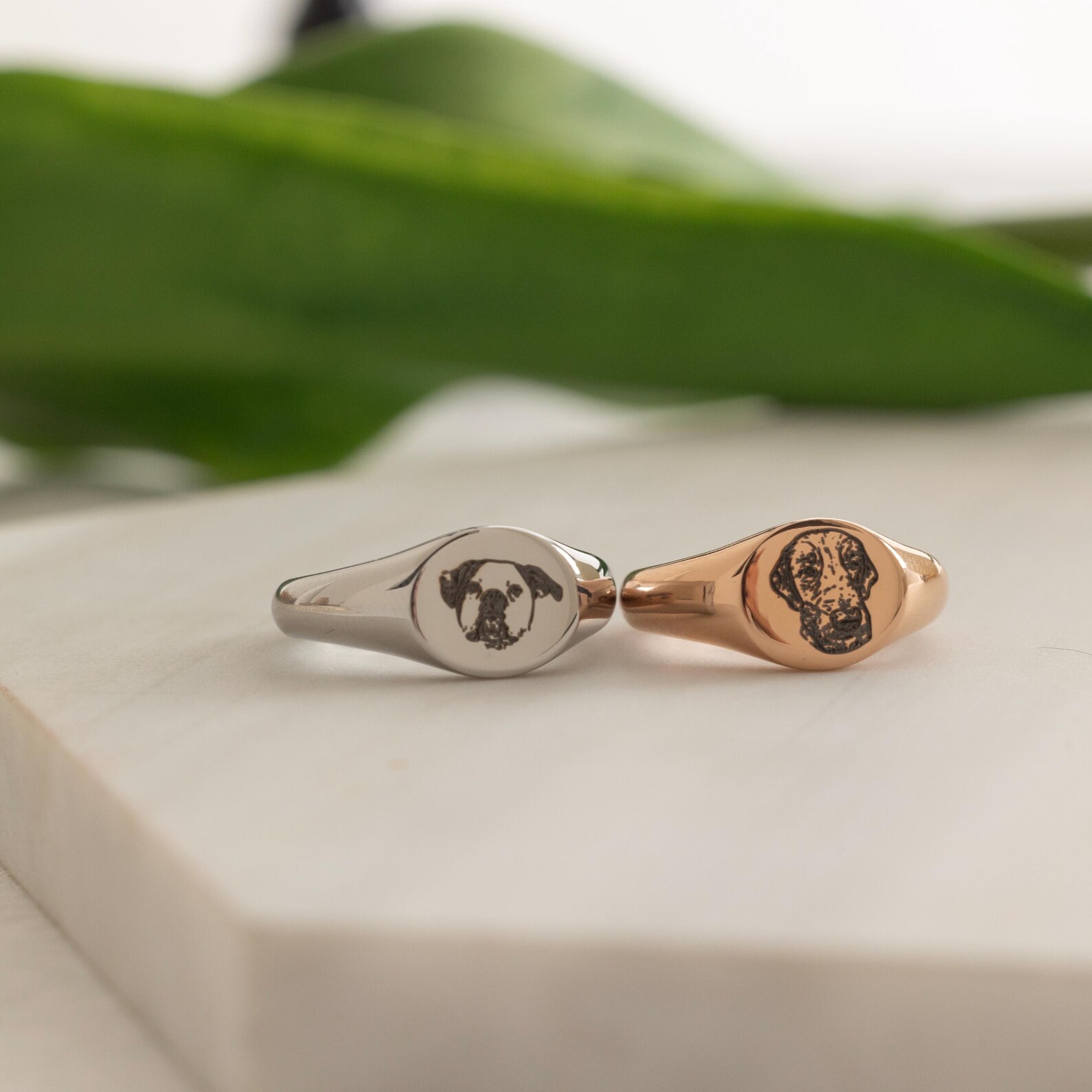Custom Pet Portrait Signet Ring • Engraved Dog or Cat Face Jewelry ...