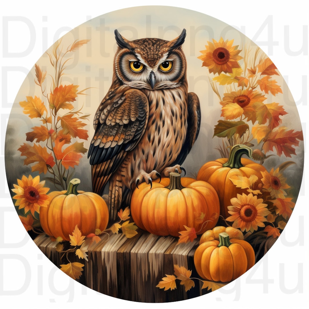 Owl Bird Pumpkins Sunflowers Fall Autumn Round Png Sublimation Digital ...
