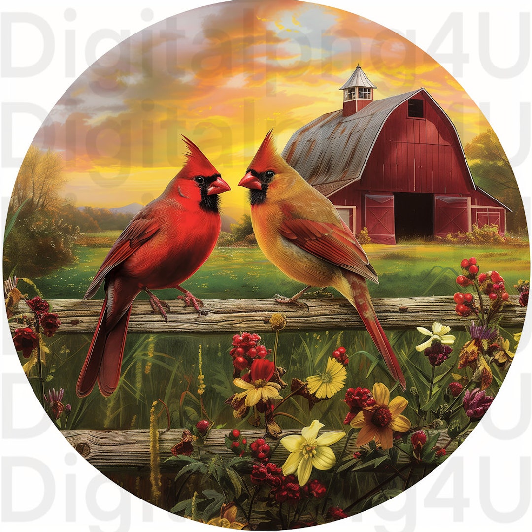 Cardinal and Barn Round PNG Sublimation Digital Design Download ...