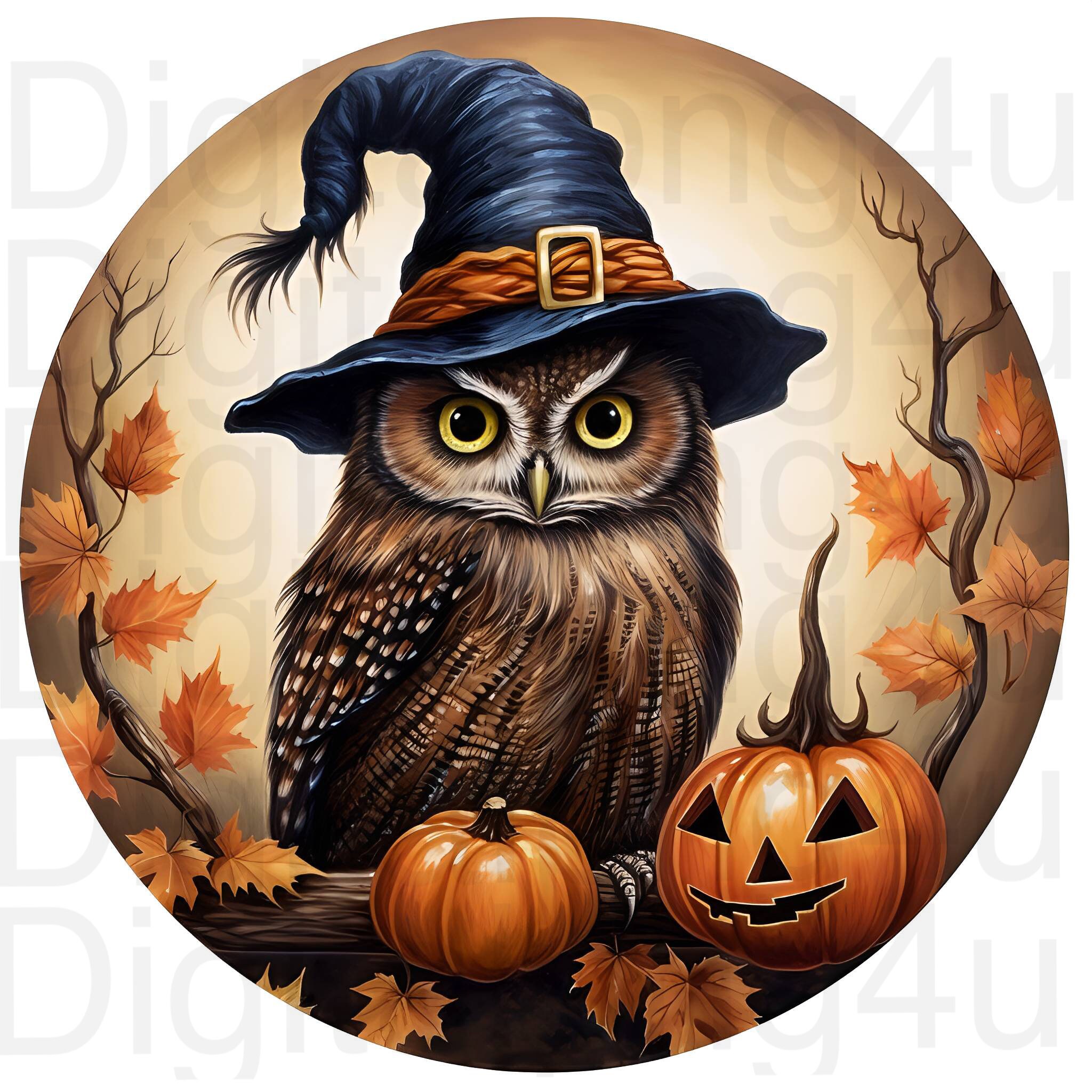 Owl Fall Halloween Witch Round Png Sublimation Digital Design Download ...