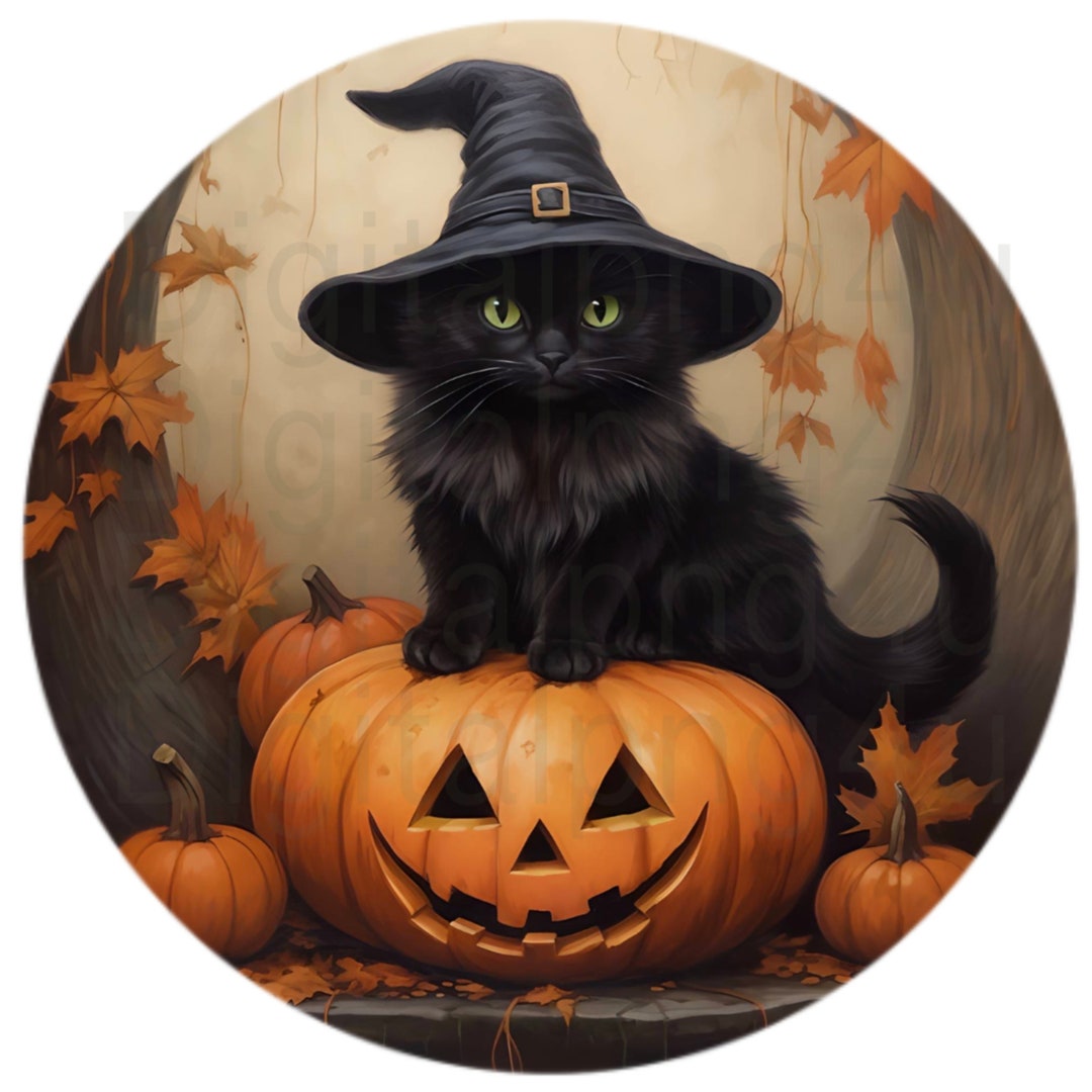 Cat Witch Pumpkin Fall Round Png Sublimation Digital Design Download - Etsy