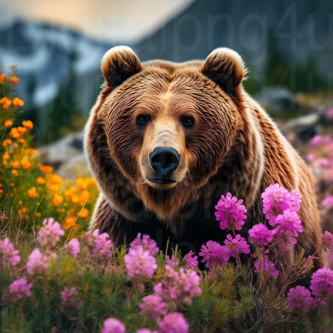 Bear and Flowers Png Sublimation Digital Design Download Bear Wreath ...