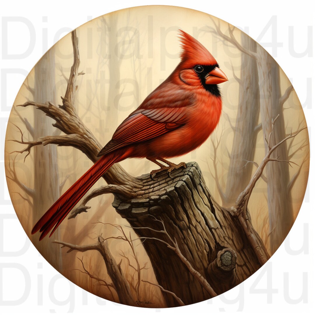 Cardinal Round Png Sublimation Digital Design Download Wreath Sign Wind ...