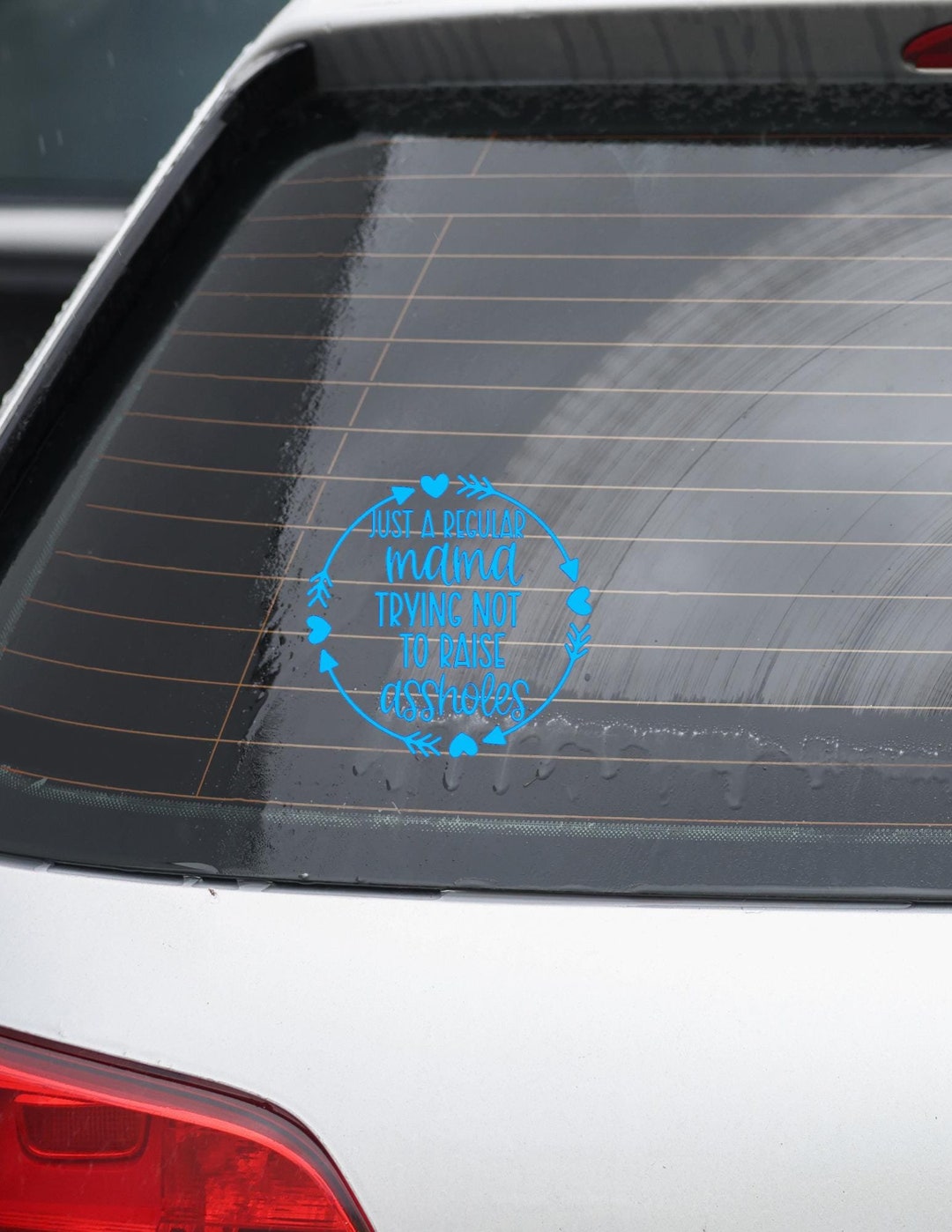 Funny Window Decal, Car Decal, Window Sticker, Adult, Humor, Asshole ...