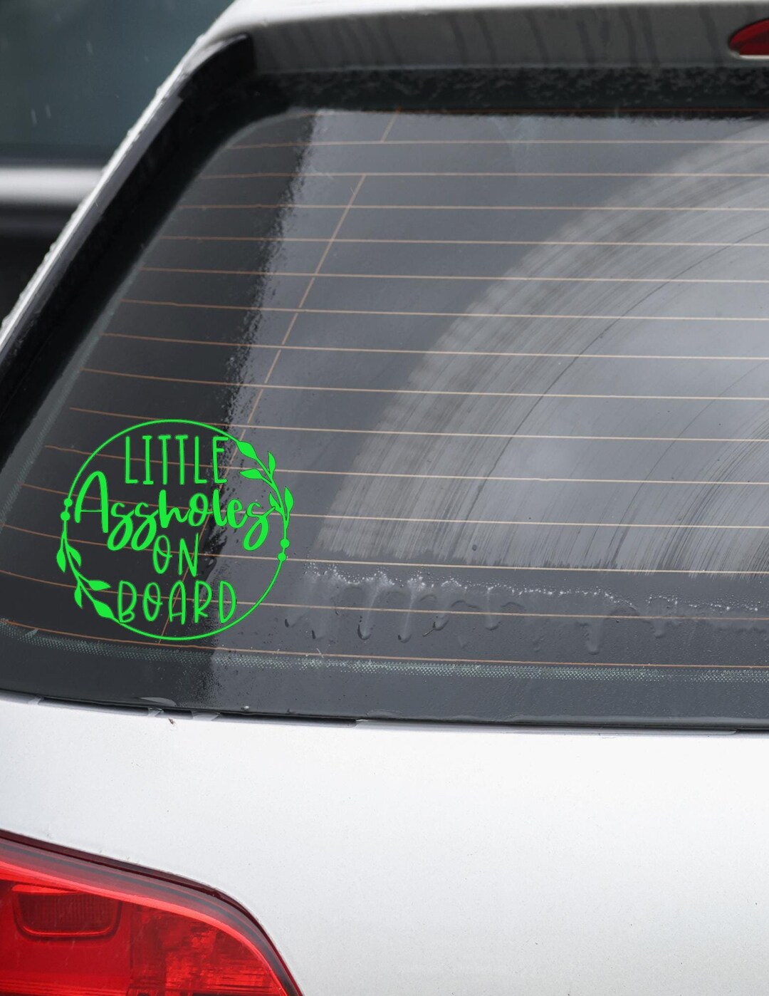 Funny Window Decal, Car Decal, Window Sticker, Adult, Humor, Asshole ...