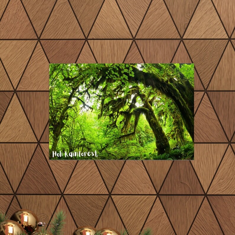 Hoh Rainforest Poster - Etsy