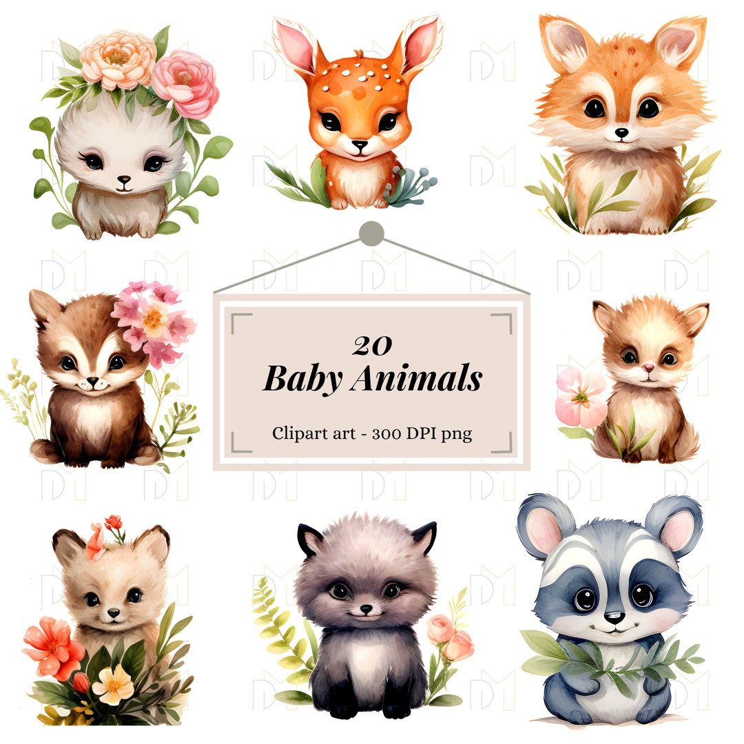 20 Clipart Files Baby Animals 300 DPI - Etsy