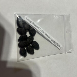 Long Ribbed Luffa Seeds / 长棱丝瓜种子 – 10 Seeds per Pack | Early-maturing ...