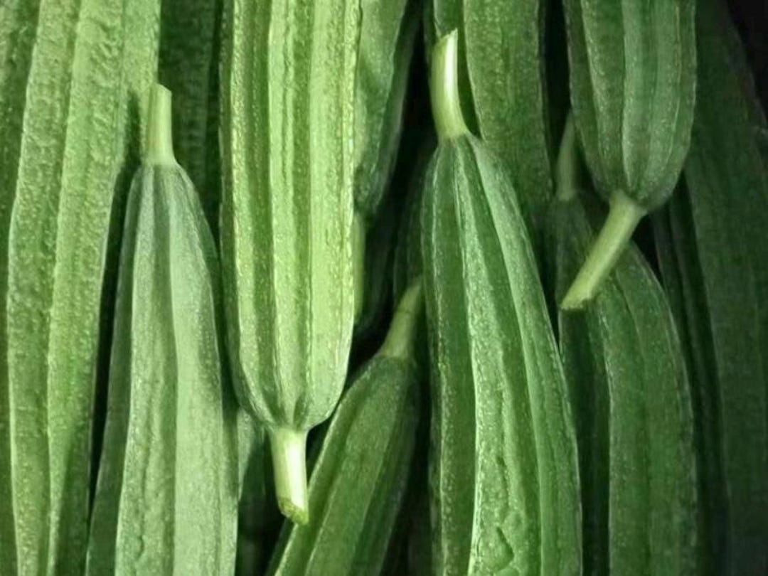 Long Ribbed Luffa Seeds / 长棱丝瓜种子 – 10 Seeds per Pack | Early-maturing ...