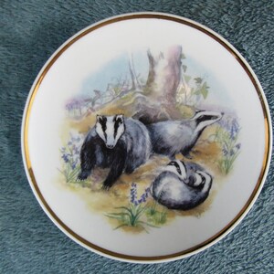 Wildlife of Britain by Susan Beresford X 5 Plates - 1980s - Etsy