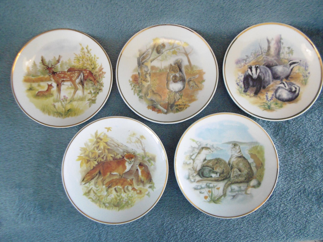 Wildlife of Britain by Susan Beresford X 5 Plates - 1980s - Etsy