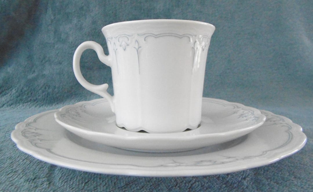 Seltmann Welden, Bavaria "julia" 24 Piece Tea Set 1950s - Etsy