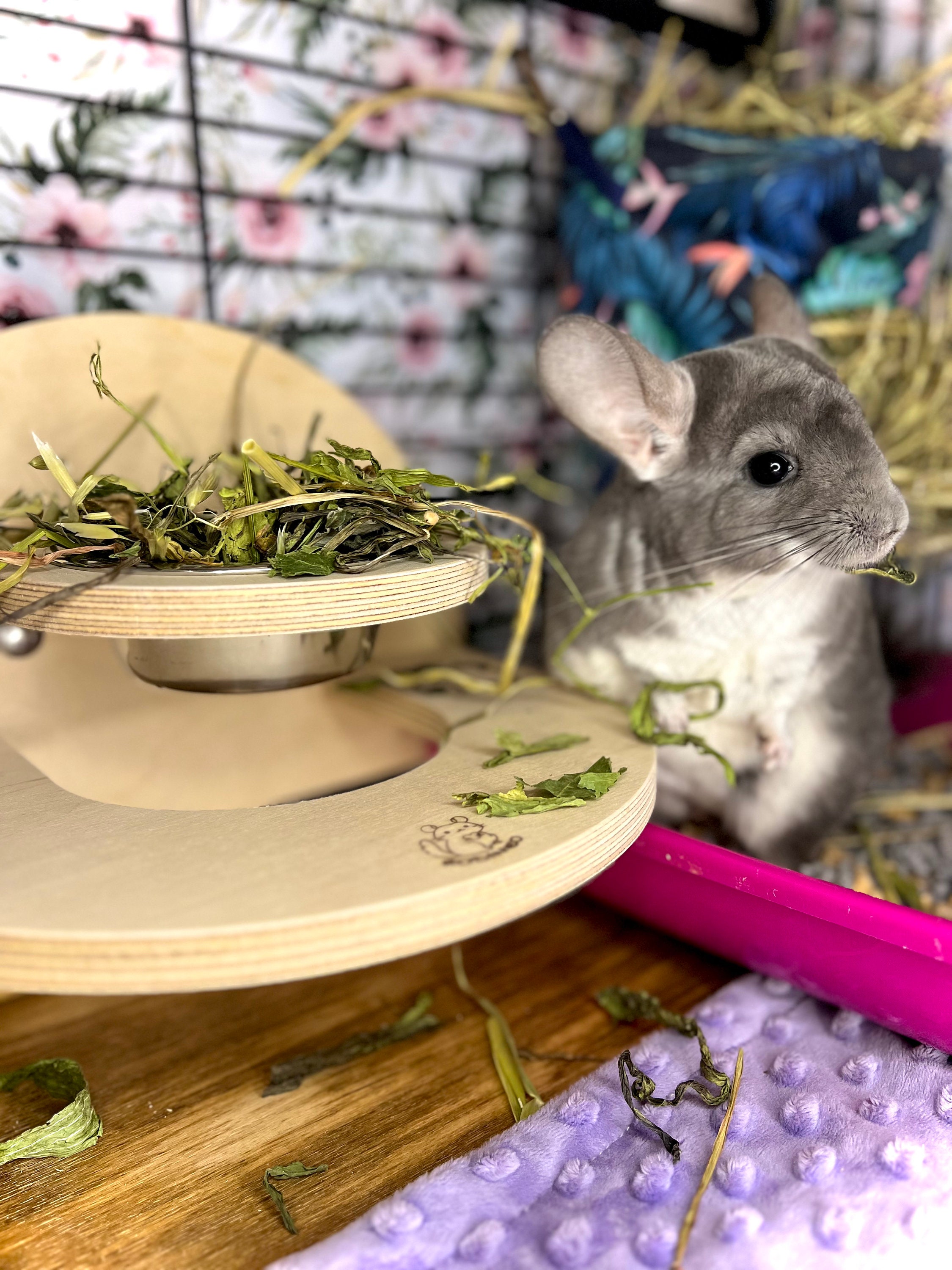 Chinchilla & Degu Wood Feeder Hay Rack Cage Accessory Fo Rodents - Etsy