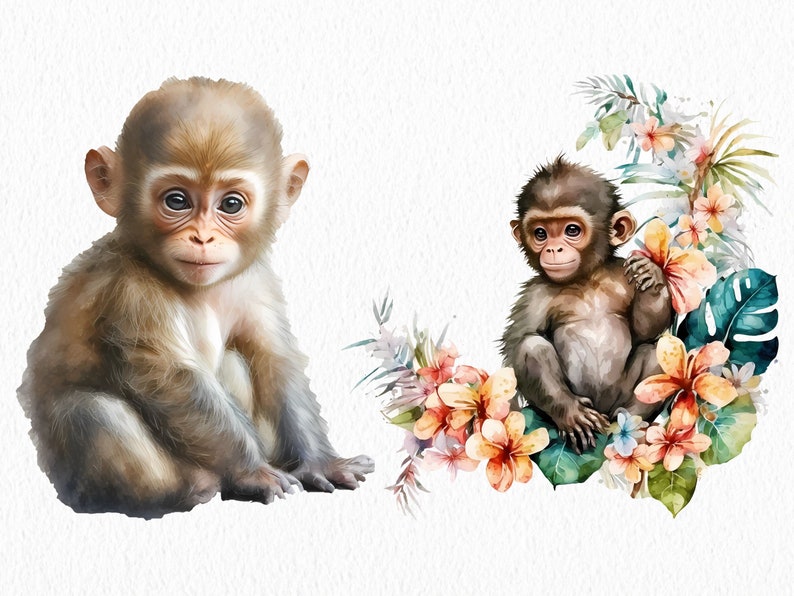 Watercolor Baby Monkeys Clipart Bundle, Cute Floral Monkey PNG Bundle ...